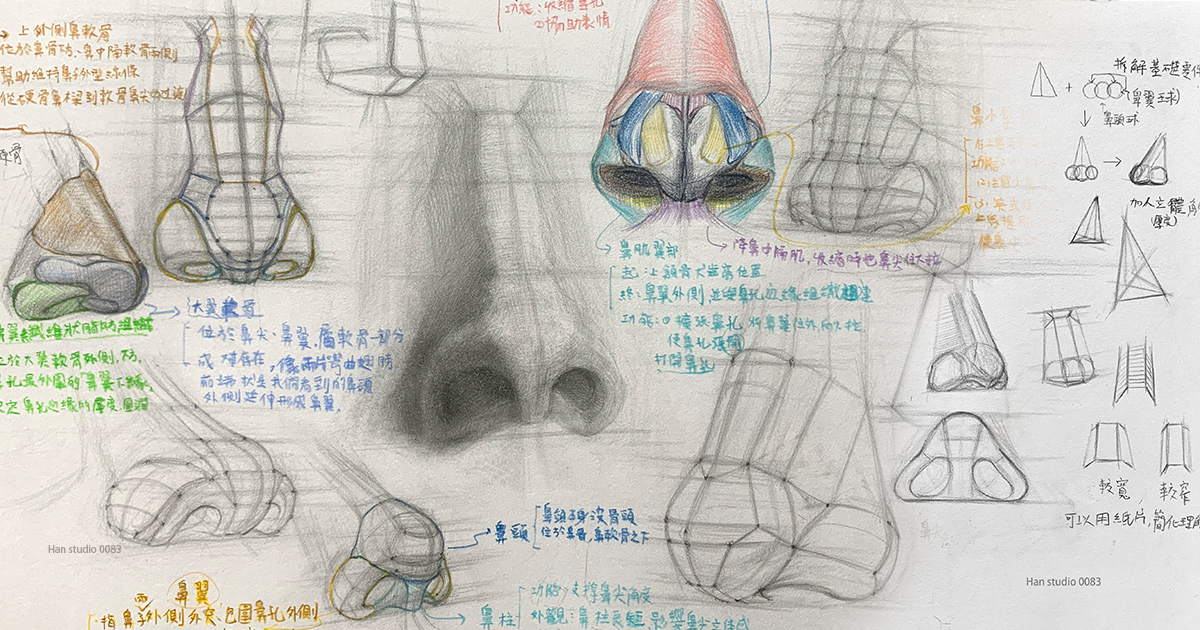 Getting Started with Nose Painting: Simplifying the Geometry and ...