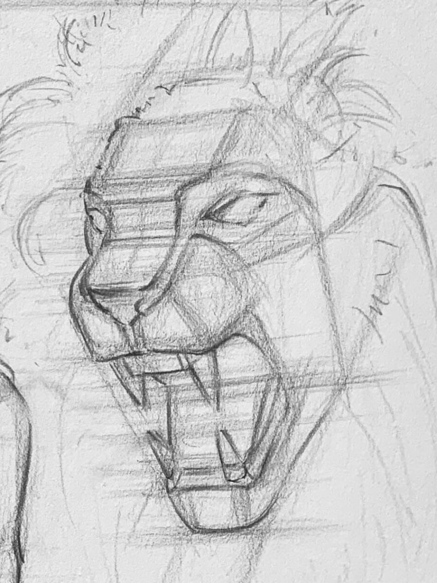 Sketching Lions: Simplifying Head and Torso with Basic Shapes