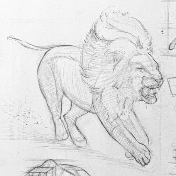 Sketching Lions: Simplifying Head and Torso with Basic Shapes