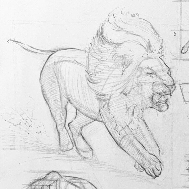 Sketching Lions: Simplifying Head and Torso with Basic Shapes