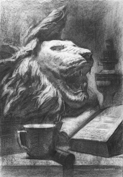 Sketching Lions: Simplifying Head and Torso with Basic Shapes