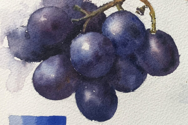 How to Watercolor Grapes: Master Light, Shadow & Gradients