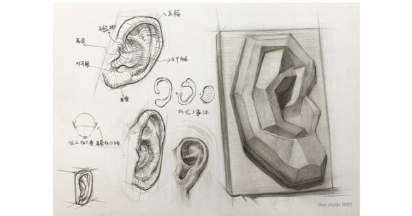 How to Draw Ears:Simplified Ear Structure and Shading Tips