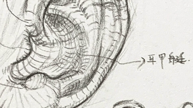How to Draw Ears:Simplified Ear Structure and Shading Tips