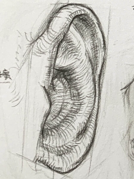 How to Draw Ears:Simplified Ear Structure and Shading Tips