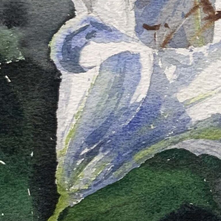 How to Paint Flower Petals: Realistic Watercolor Techniques