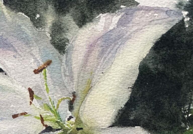 How to Paint Flower Petals: Realistic Watercolor Techniques