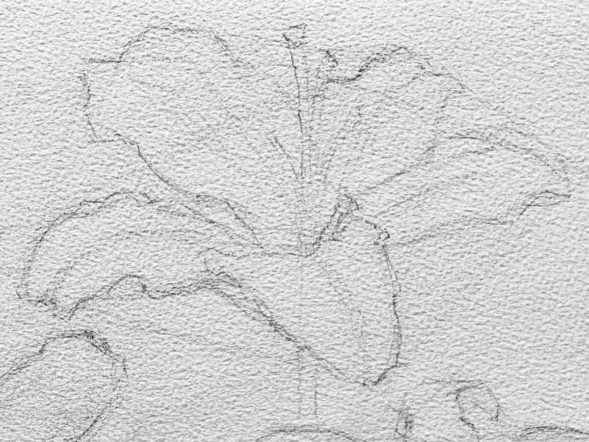 How to Paint Flower Petals: Realistic Watercolor Techniques