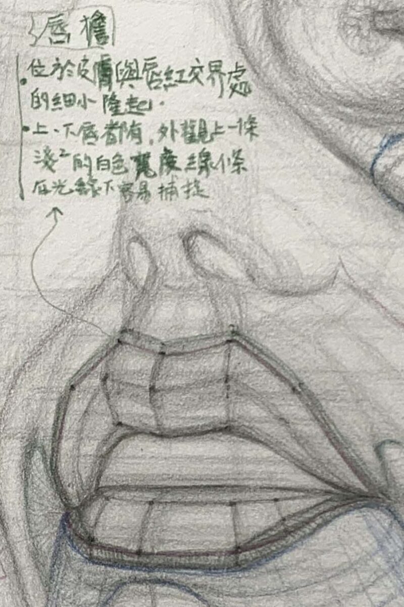 Capturing Realism in Lip Drawing: Key Structures and Shading